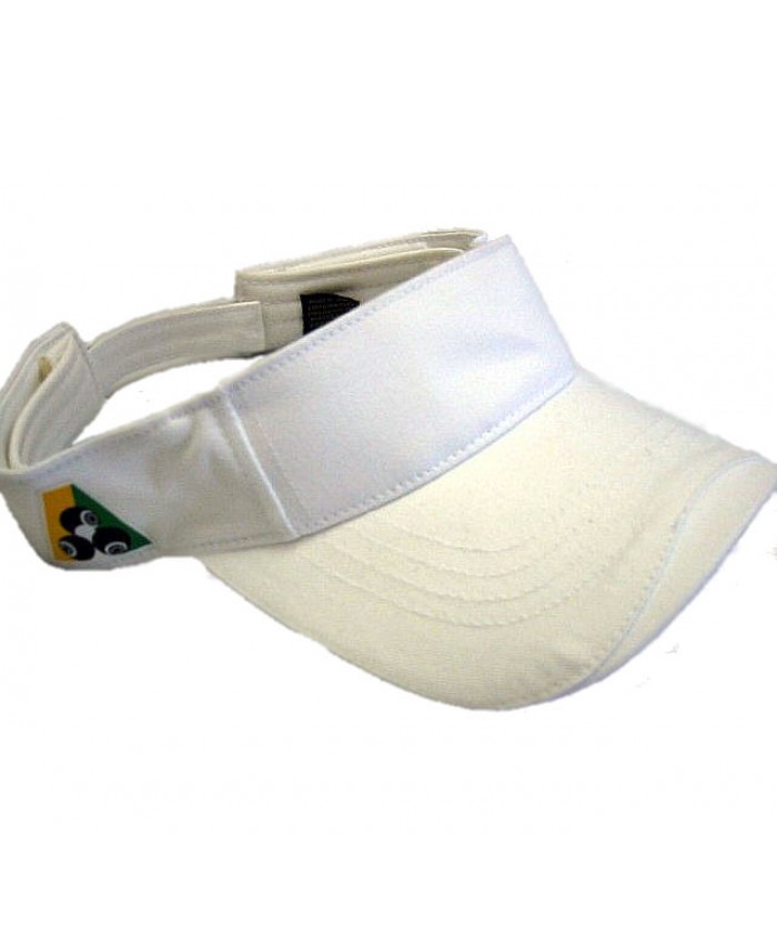 Visors